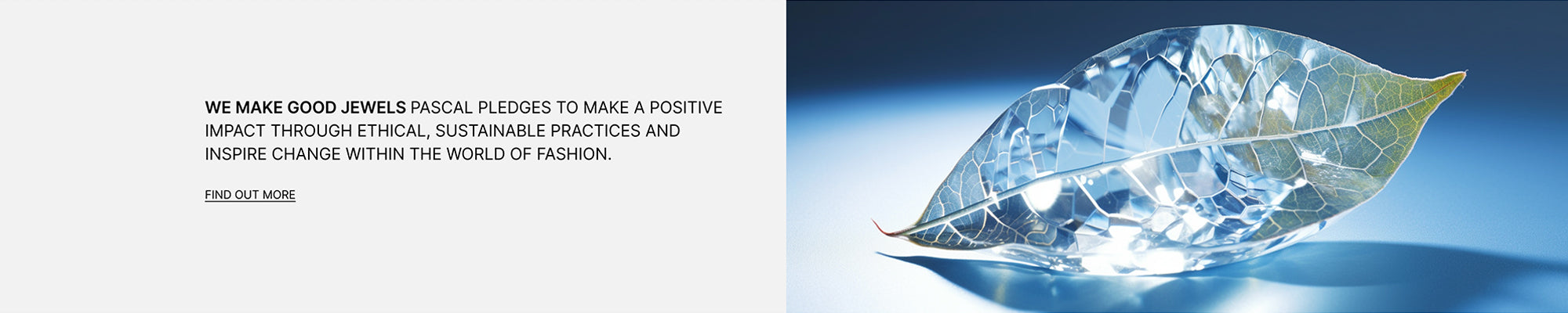 Pascal Design Jewelry| Lab Grown Diamonds