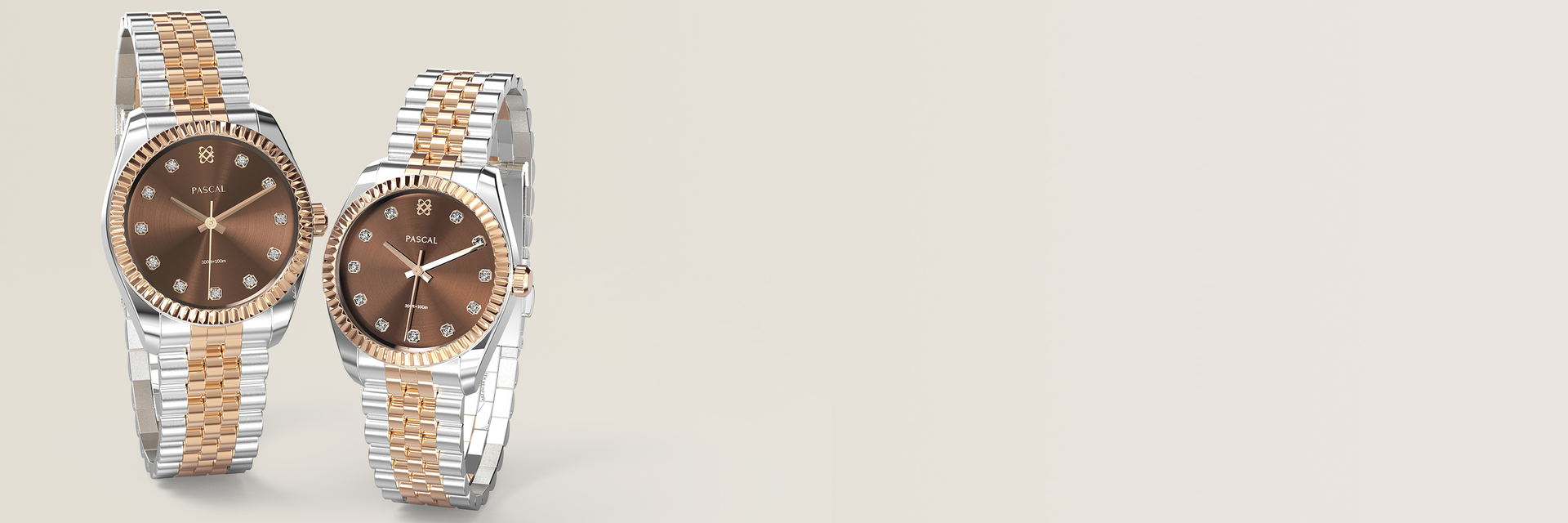 Timeless & Classic Watch Collection: Gold & Silver | PASCAL