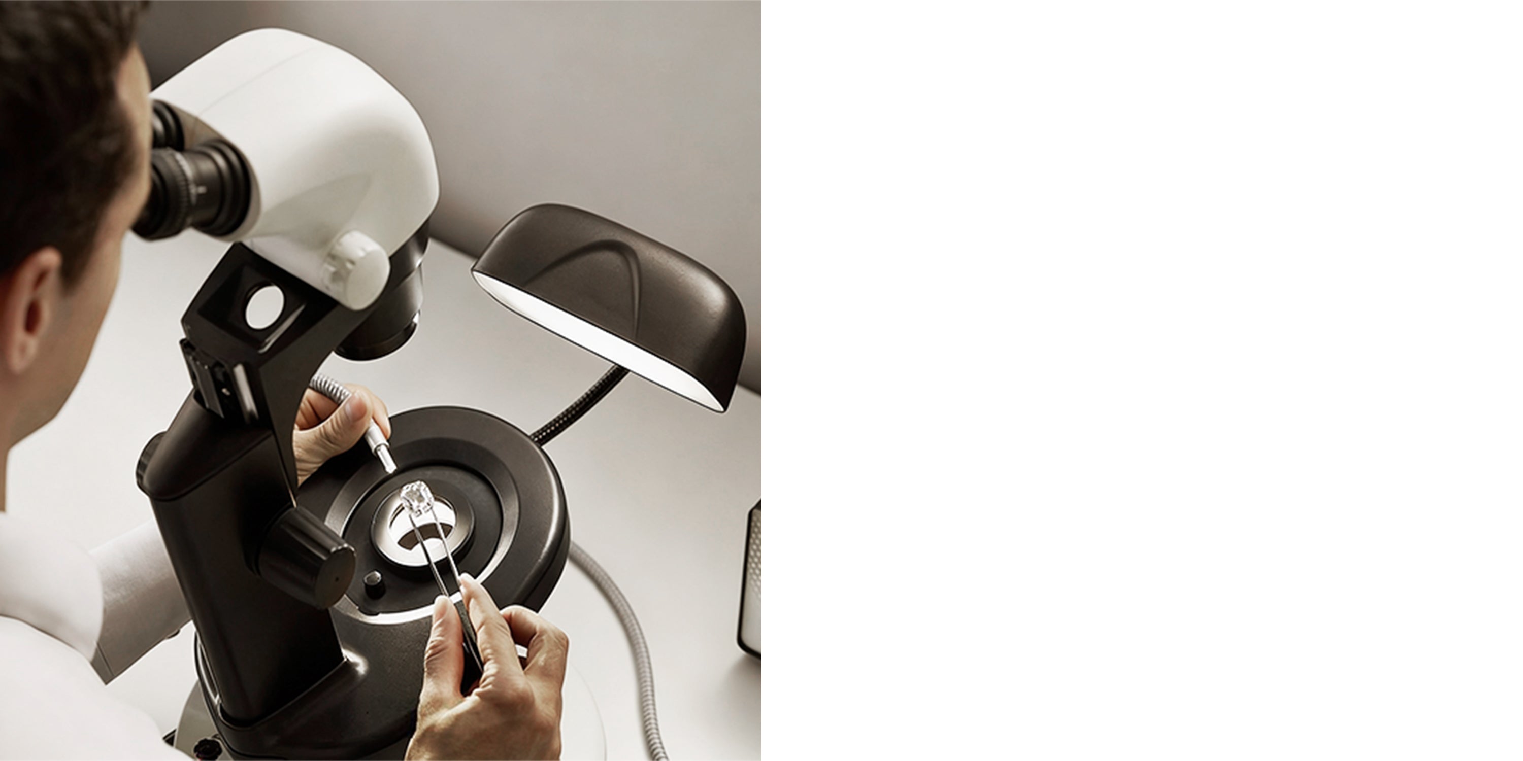 IGI Certified Lab-Grown Diamonds at PASCAL | PASCAL