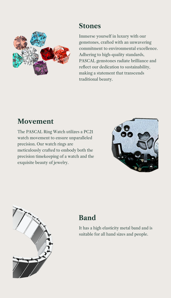 PASCAL | WATCH RINGS